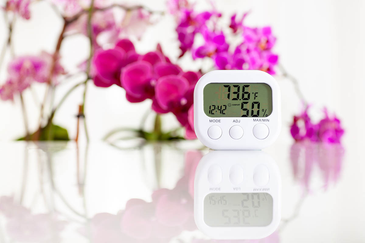 The Best Hygrometers for Measuring the Humidity in Your Home - Bob Vila