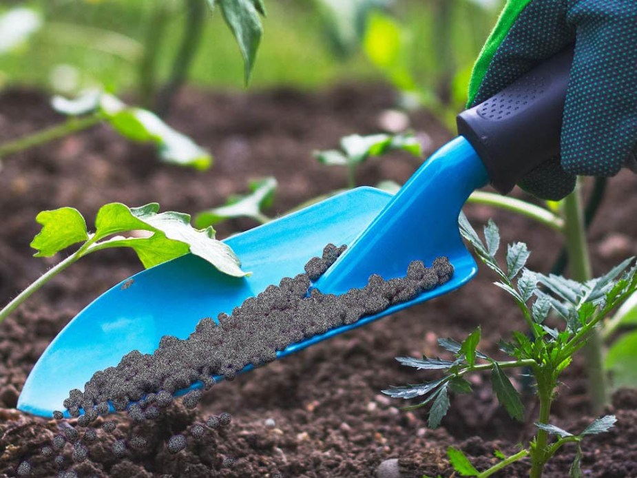 The Best Organic Fertilizers - Picks by Bob Vila
