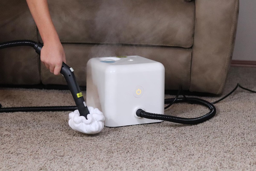 The 9 Best Upholstery Cleaners of 2024, According to Testing