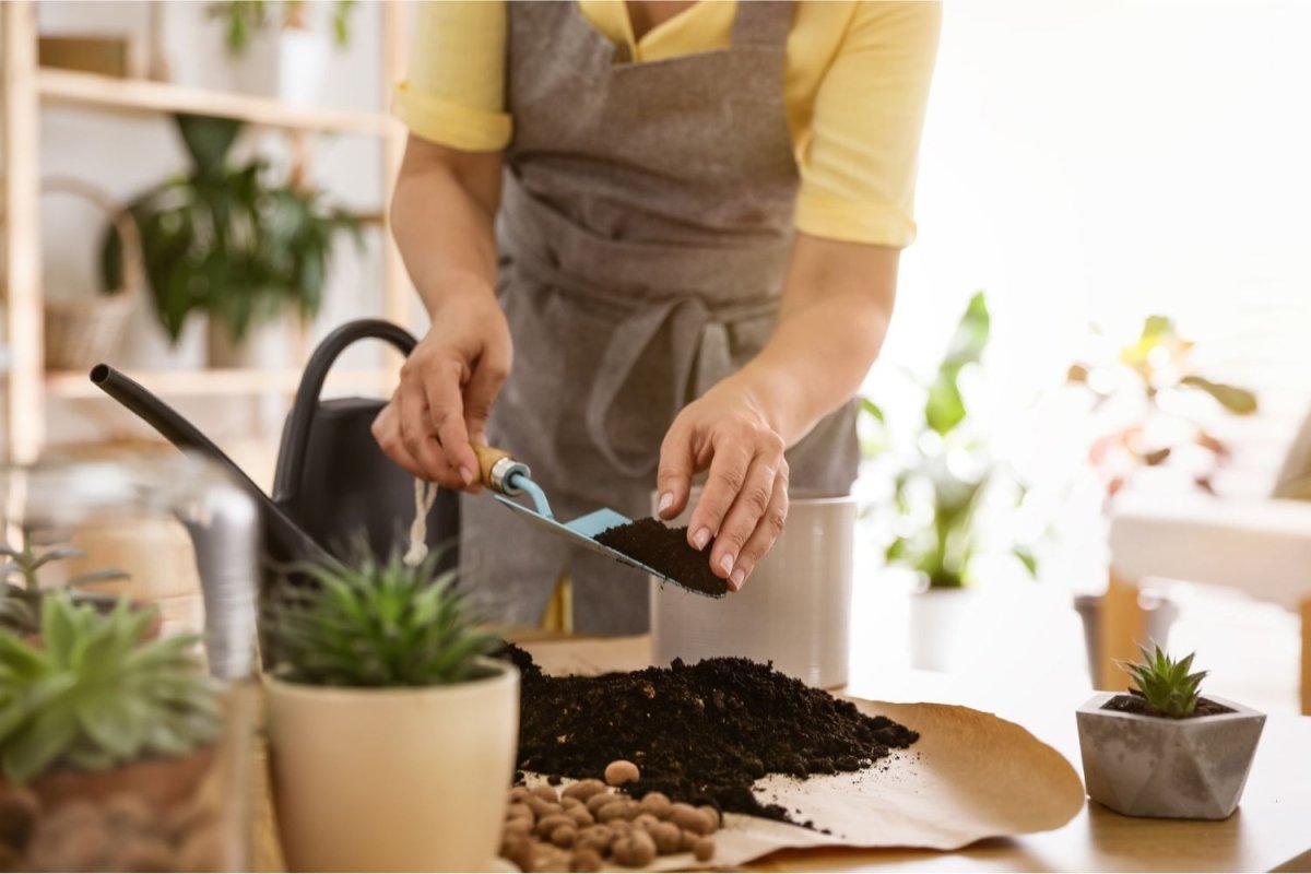 The Best Potting Soil Mixes - Top Picks from Bob Vila