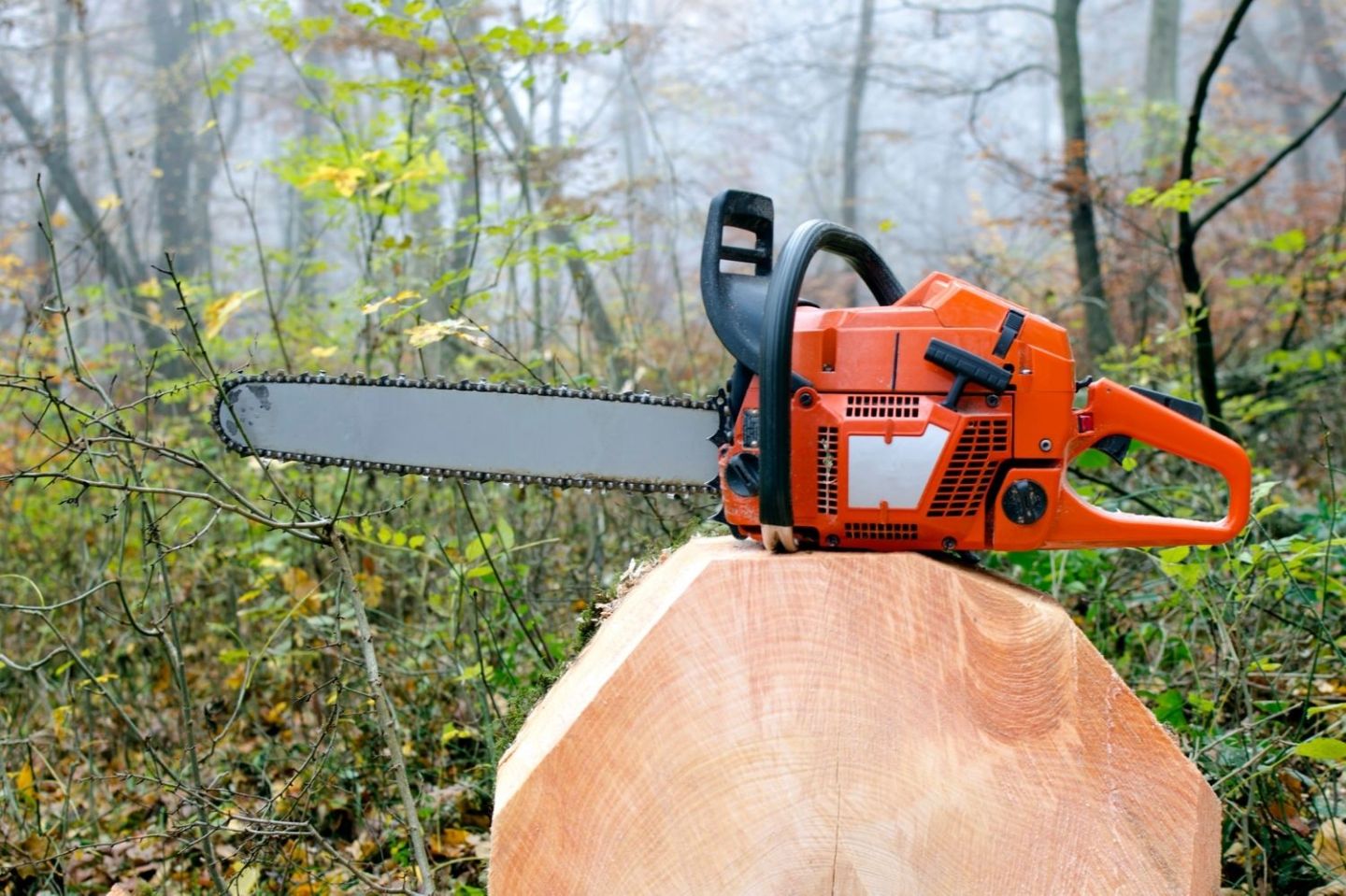 The Best Chainsaw Chains for DIY Homeowners - Bob Vila