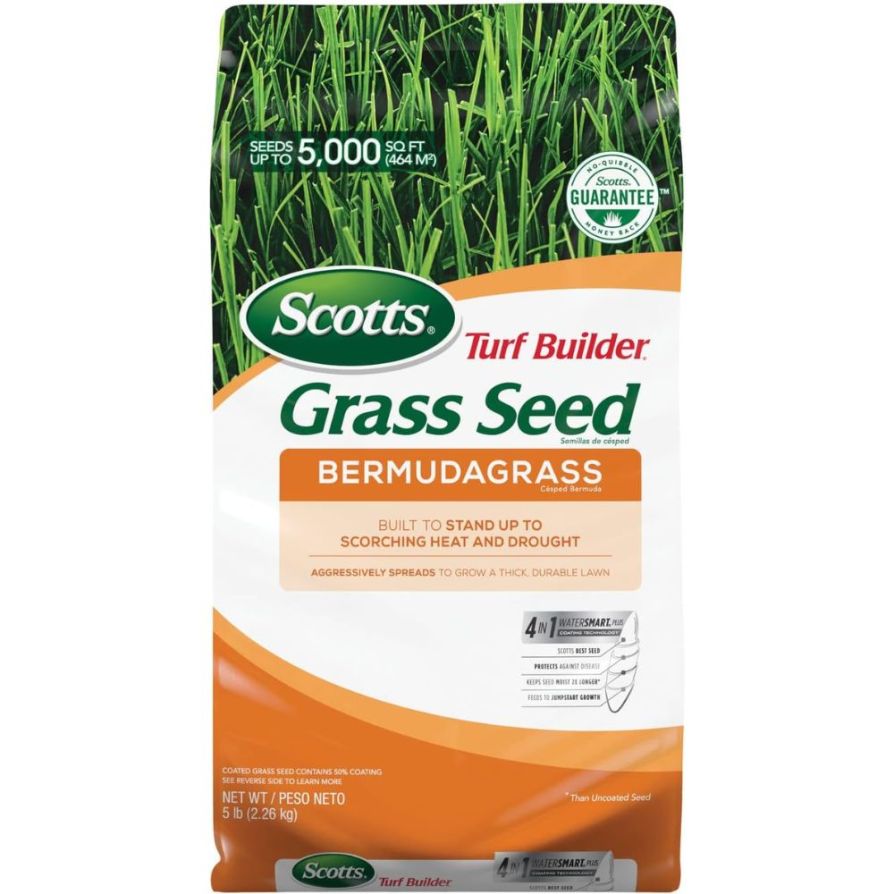 The Best Grass Seed for Florida - Picks by Bob Vila