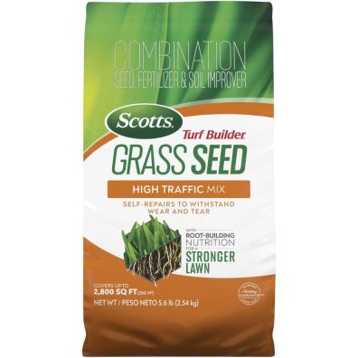 The Best Grass Seed - Top Picks from Bob Vila