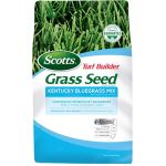 The Best Grass Seed for Overseeding - Picks from Bob Vila