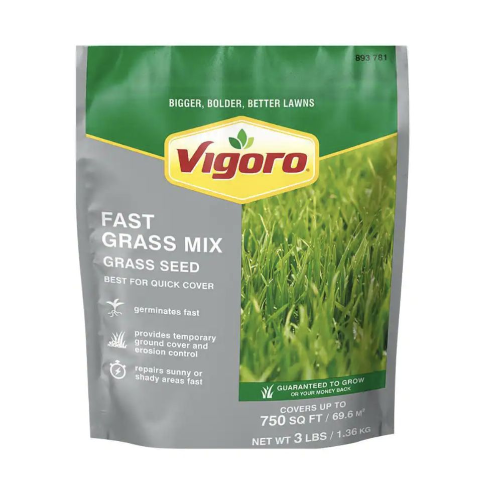 The Best Grass Seed Options of 2024 - Top Picks from Bob Vila