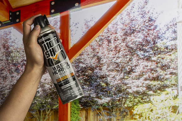 The Best Wasp Spray - Picks by Bob Vila