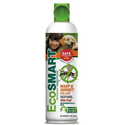 The Best Wasp Spray Options for DIY Pest Control - Bob Vila