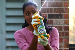 The Best Wasp Spray Options for DIY Pest Control - Bob Vila