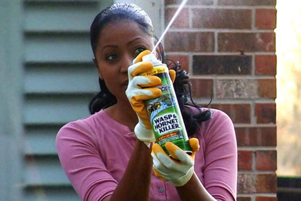 The Best Wasp Spray Options for DIY Pest Control - Bob Vila