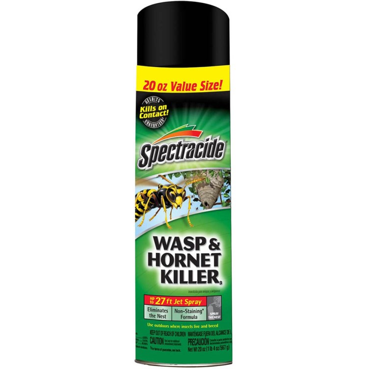 The Best Wasp Spray Options for DIY Pest Control - Bob Vila