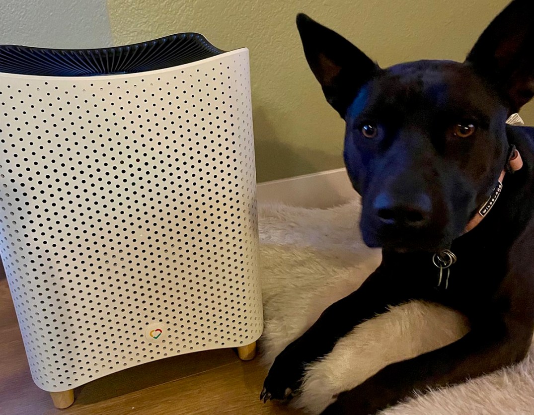The Best Air Purifiers for Smoke - Tested by Bob Vila