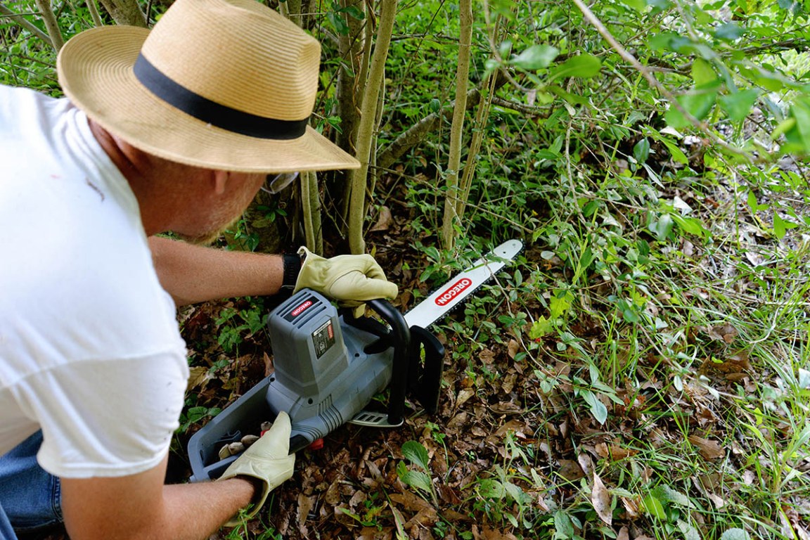 Testing the Best Small Chainsaws (Top Picks)