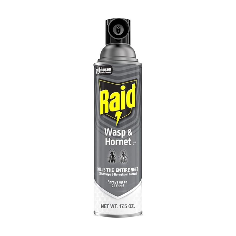 The Best Wasp Spray - Picks by Bob Vila