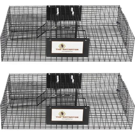 The 8 Best Rat Traps (2024 Guide)