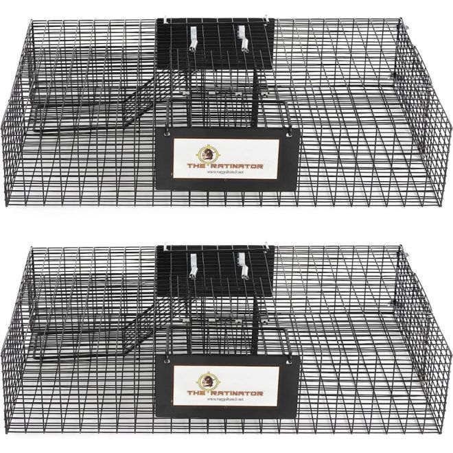 The 8 Best Rat Traps (2024 Guide)