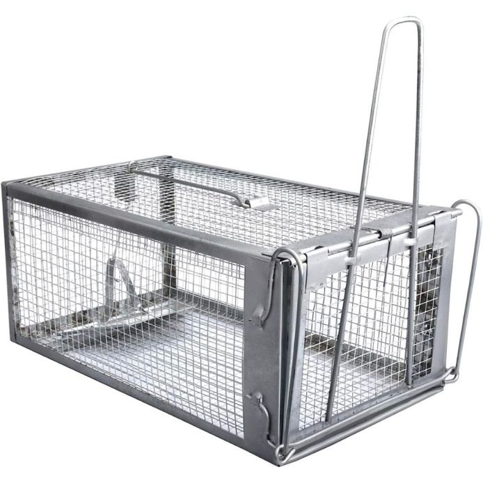 The Best Rat Traps for At-Home Pest Control - Picks by Bob Vila