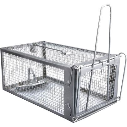 The 8 Best Rat Traps (2024 Guide)