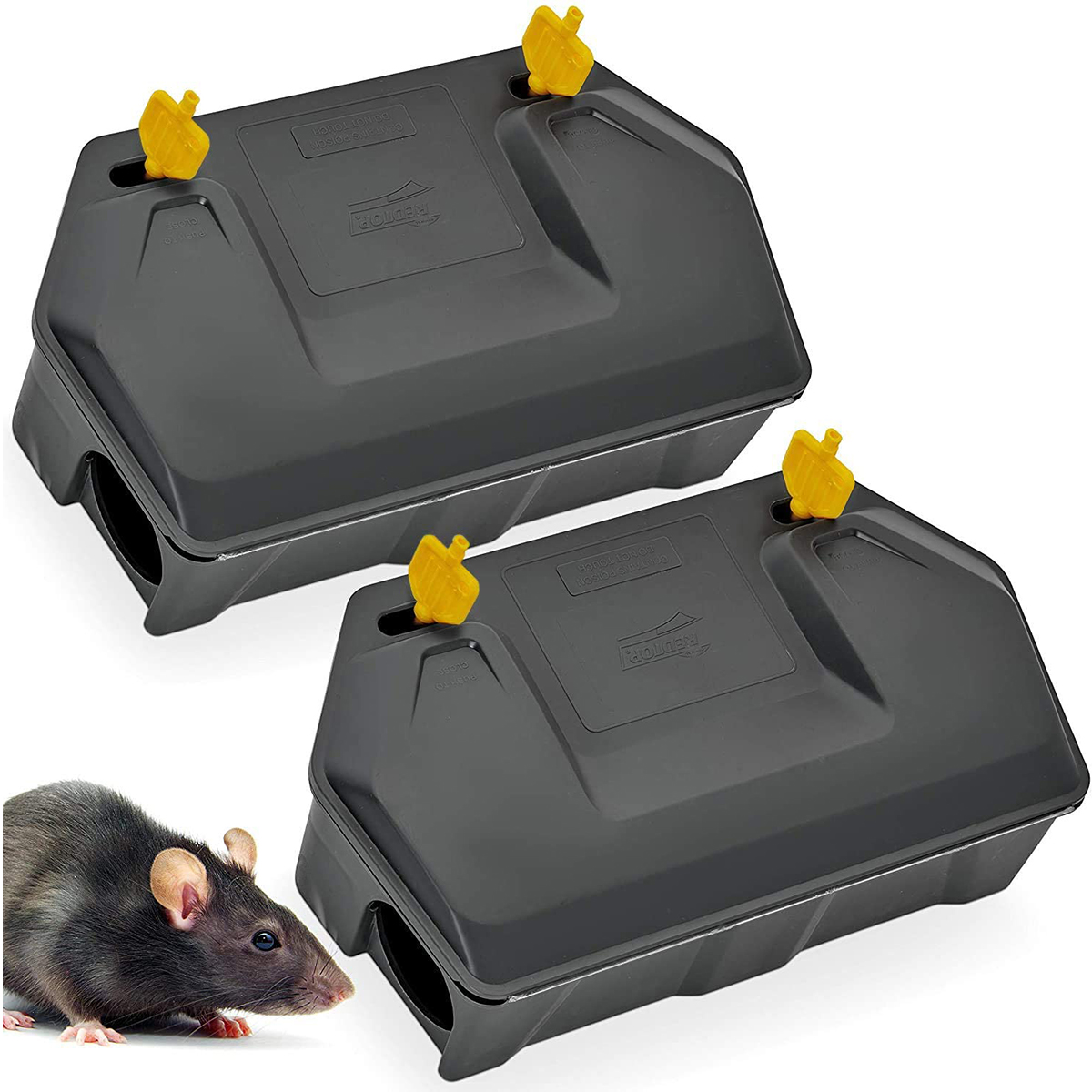 The Best Mouse Poisons, Vetted - Top Picks by Bob Vila