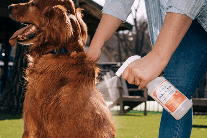 The Best Flea Sprays - Top Picks by Bob Vila