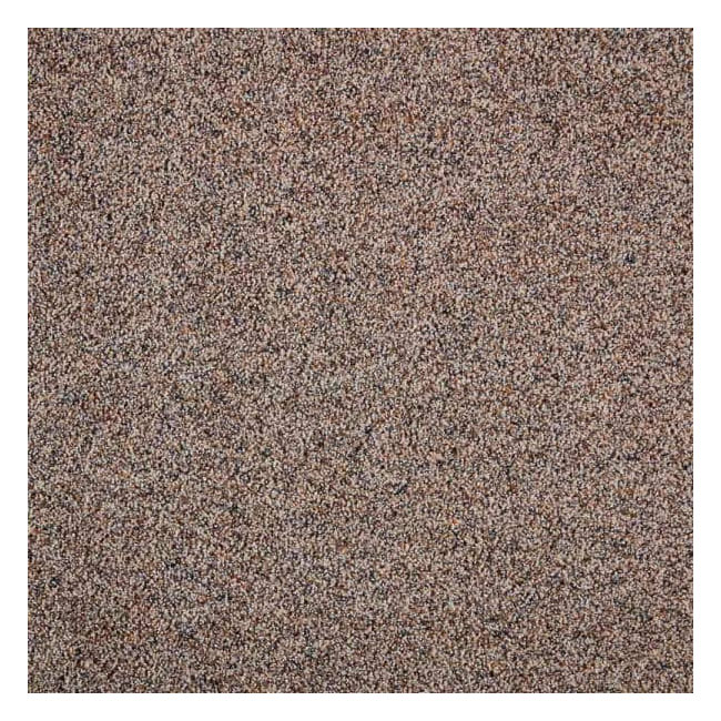 The Best Carpet for Pets - Top Picks by Bob Vila
