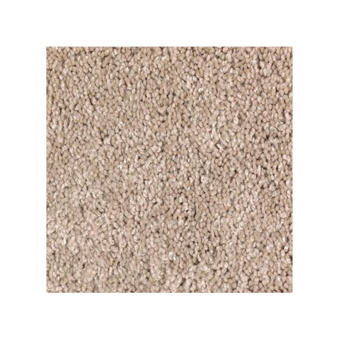 The Best Carpet for Pets - Top Picks by Bob Vila