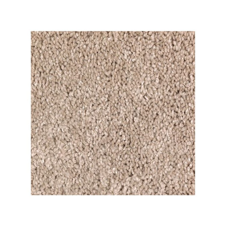 The Best Carpet for Pets - Top Picks by Bob Vila