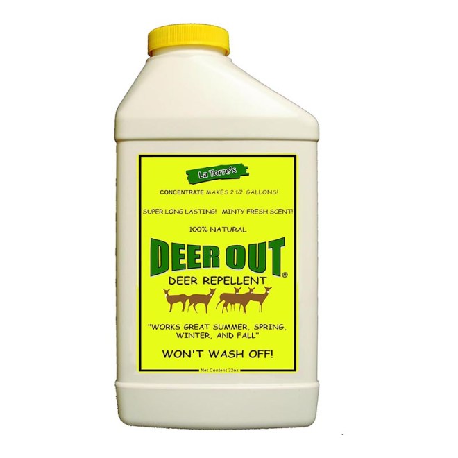 The Best Deer Repellents