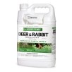 The 10 Best Rabbit Repellents For Gardens