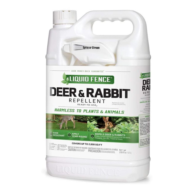 The 10 Best Rabbit Repellents For Gardens