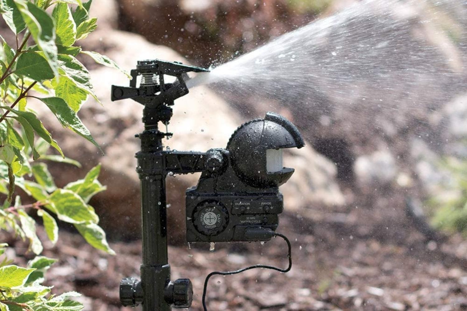 The Best Deer Repellents - Picks from Bob Vila