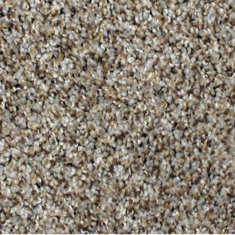 The Best Carpet for Pets - Top Picks by Bob Vila