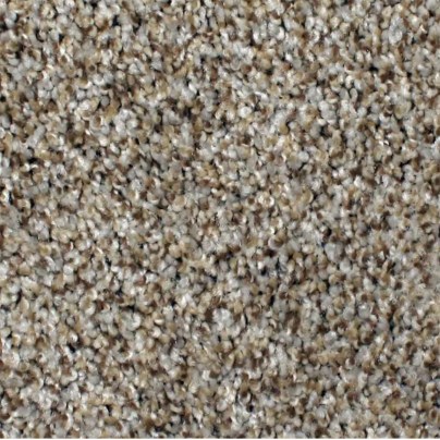 The Best Carpet for Pets - Top Picks by Bob Vila