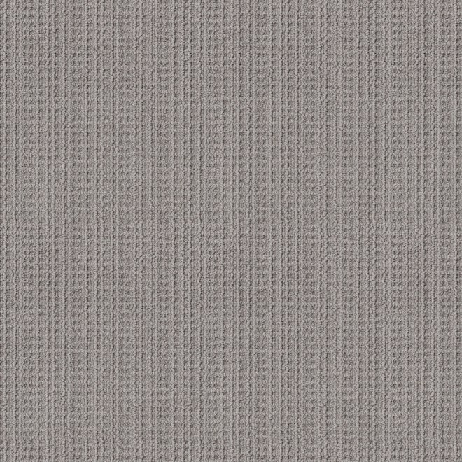 The Best Carpet for Pets - Top Picks by Bob Vila