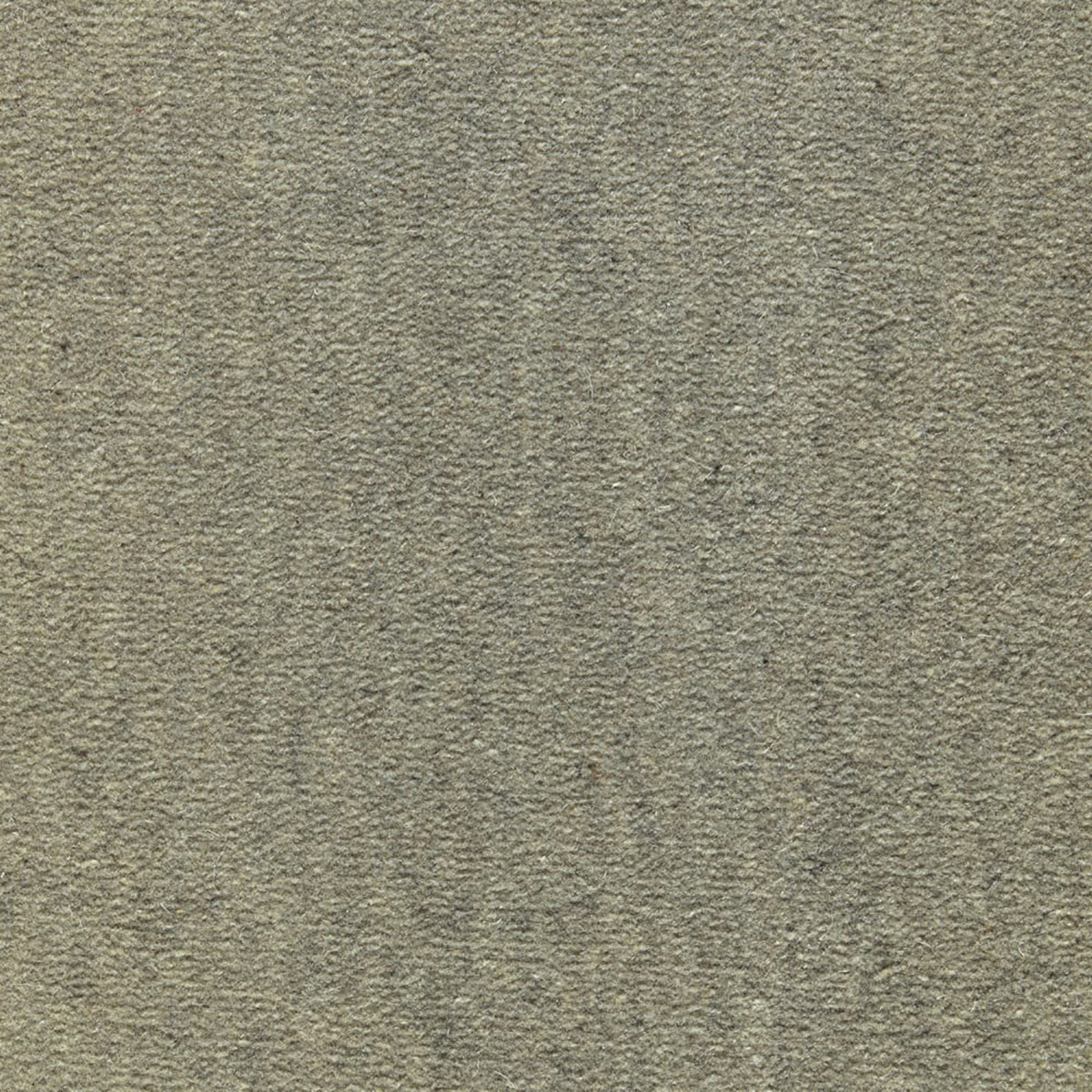 The Best Carpet for Pets - Top Picks by Bob Vila