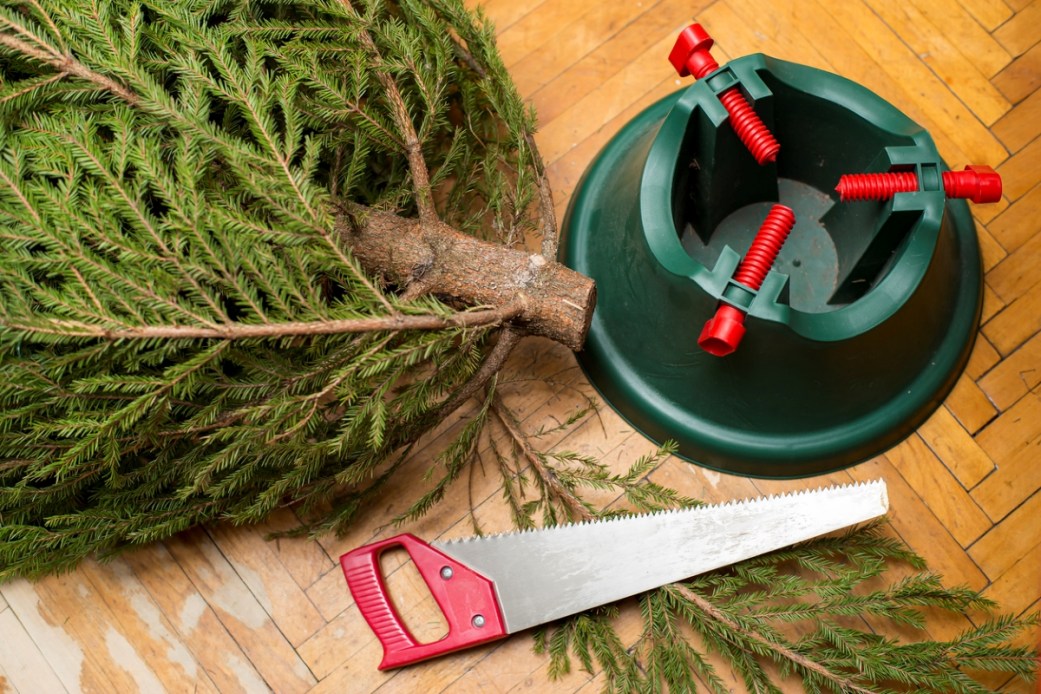 How Long Will My Christmas Tree Last? | Choosing a Long-Lasting Tree ...