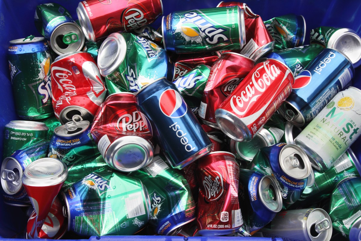 The Best Can Crusher Options for Efficient Recycling - Bob Vila