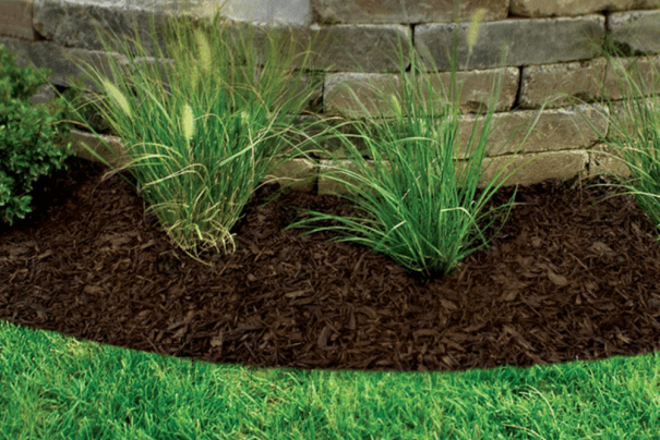The Best Mulch - Recommendations from Bob Vila