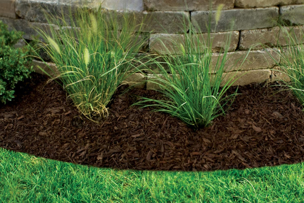 The Best Mulch - Recommendations from Bob Vila