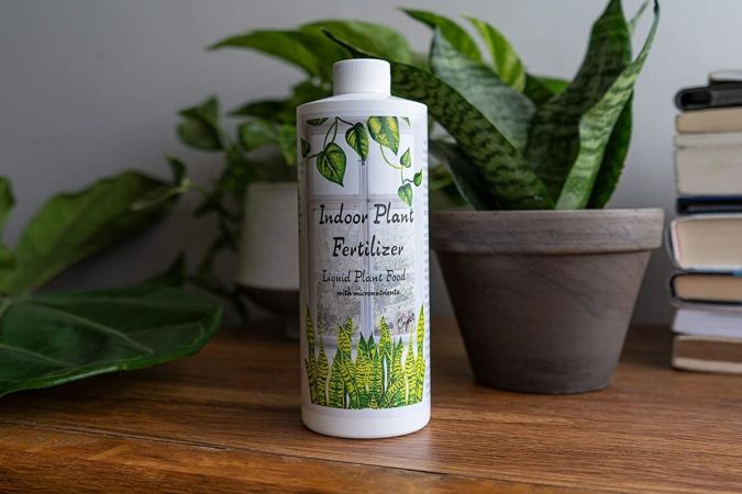 Easiest-Ever Homemade Plant Food (and How to Use It) - Bob Vila