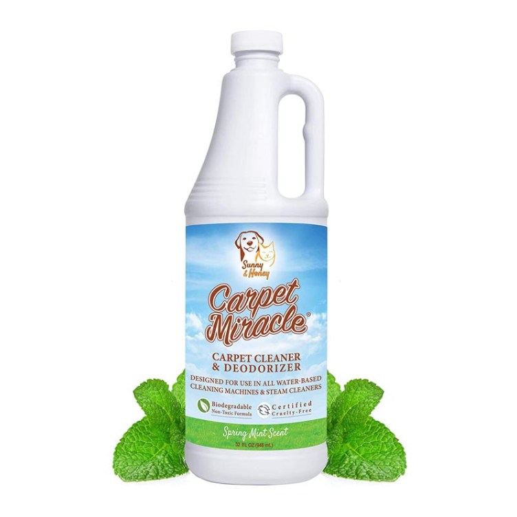 The Best Carpet Shampoo Options for Deep Cleaning - Bob Vila