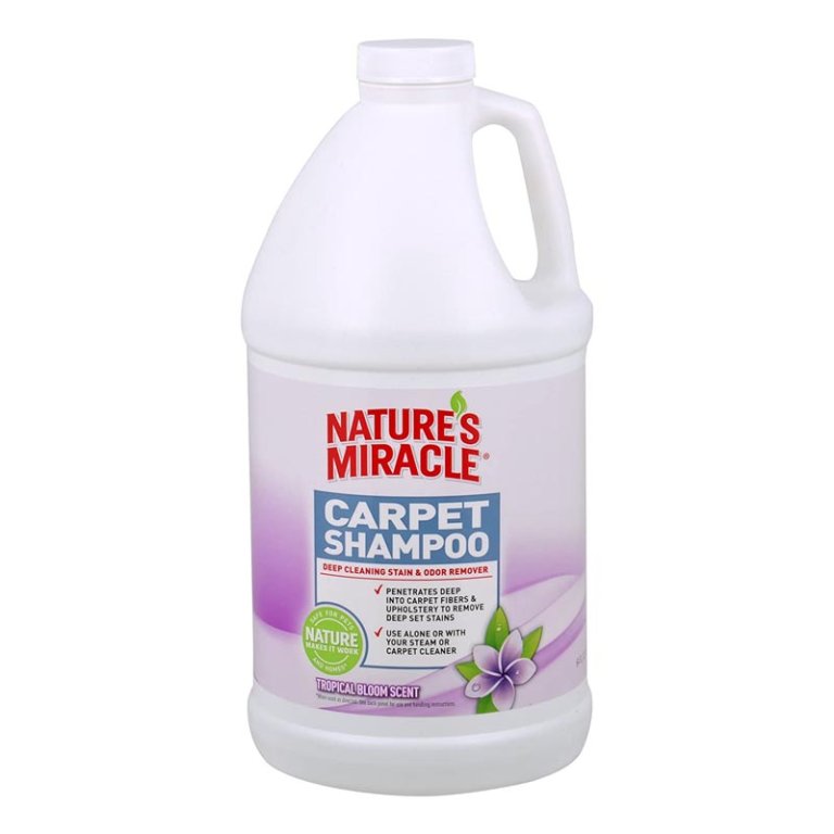 The Best Carpet Shampoo Options for Deep Cleaning - Bob Vila