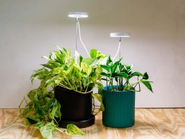 The Best LED Grow Lights of 2023 - Tested by Bob Vila