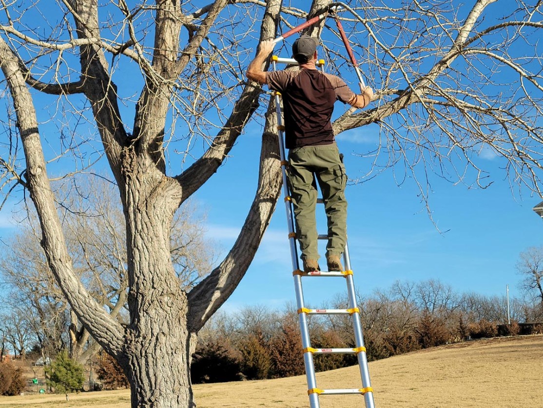 We Tested The Best Telescoping Ladders, See Our Top Picks