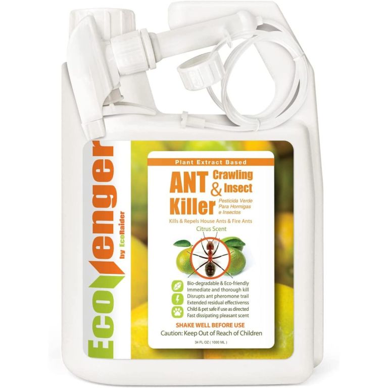 The Best Insecticides You Can Get Today - Bob Vila