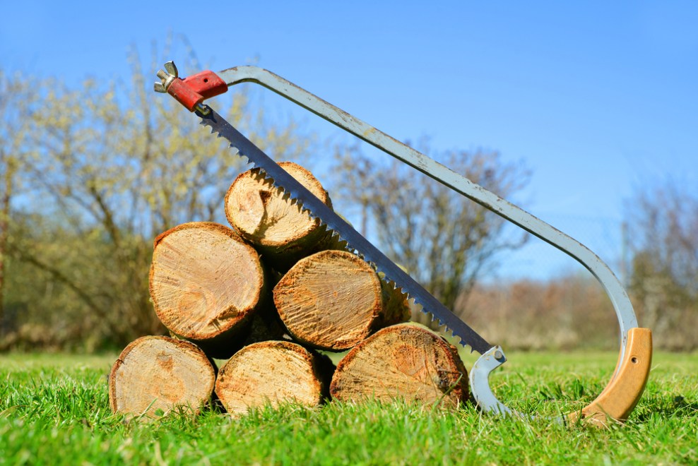 The Best Bow Saws for Fast Cuts - Bob Vila