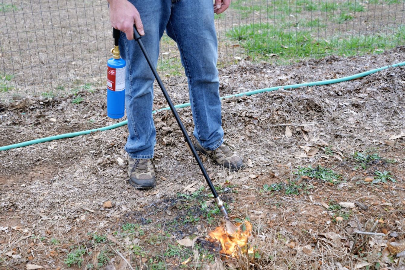 The Best Weed Torches - Tested by Bob Vila