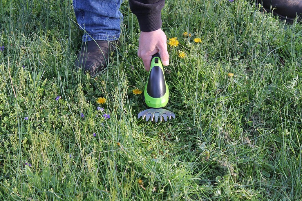 The Best Grass Shears - Tested by Bob Vila