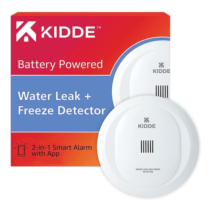 The Best Water Leak Detectors, Tested and Reviewed