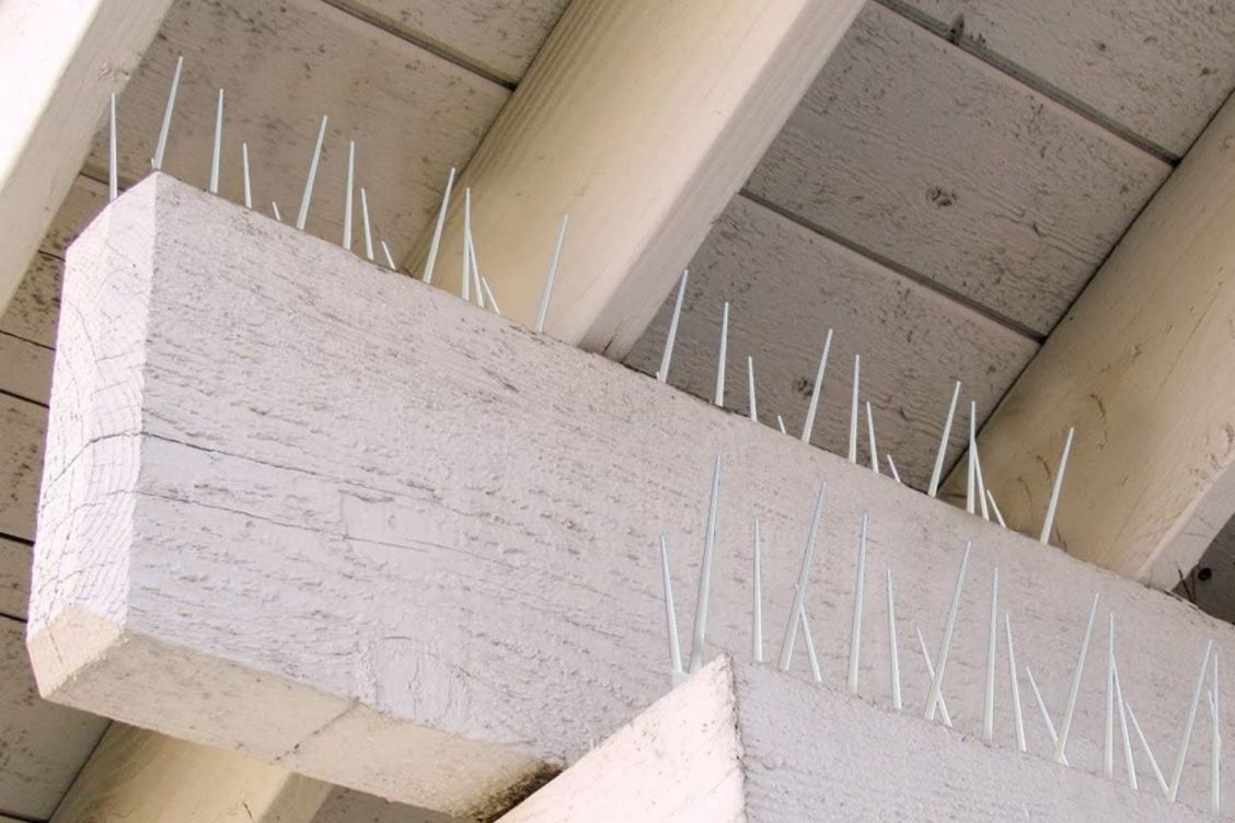 The Best Bird Deterrents - Picks by Bob Vila