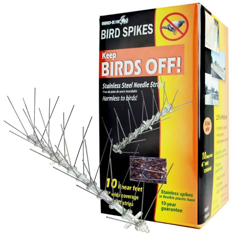 The Best Bird Deterrents of 2026, Tested and Reviewed by Experts